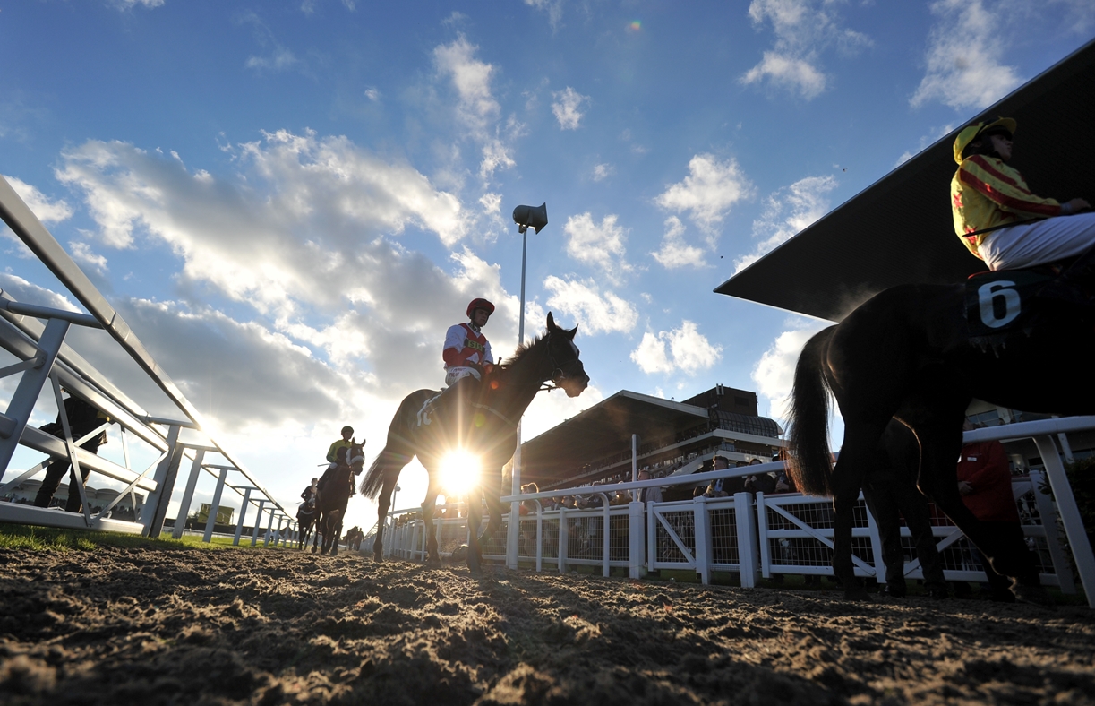 Racing at Cheltenham | Mikal Ludlow Photography | MikalLudlow.com